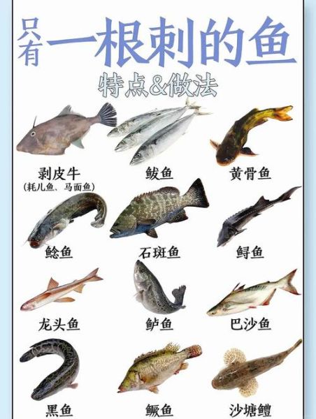 刺身鱼种类有哪些_常见刺身鱼图片识别-第3张图片-山城妙识
