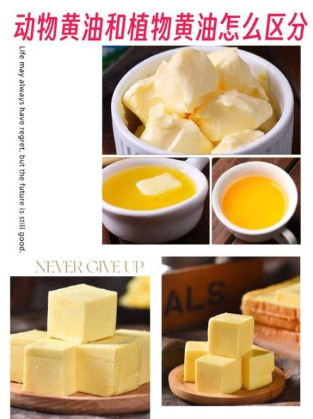 植物黄油可以做什么_植物黄油和动物黄油区别-第3张图片-山城妙识