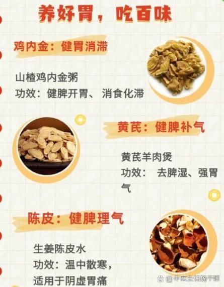 养胃中药材有哪些_十大养胃中药材怎么吃-第3张图片-山城妙识