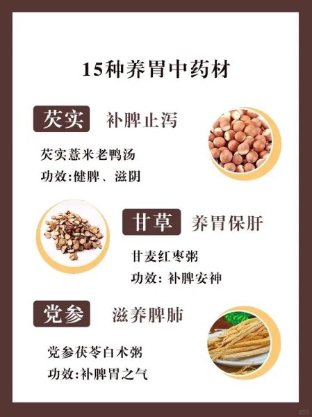 养胃中药材有哪些_十大养胃中药材怎么吃-第2张图片-山城妙识
