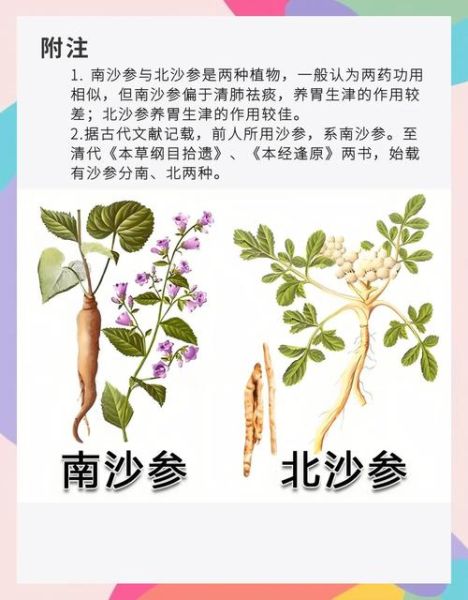 养胃中药材有哪些_十大养胃中药材怎么吃-第1张图片-山城妙识