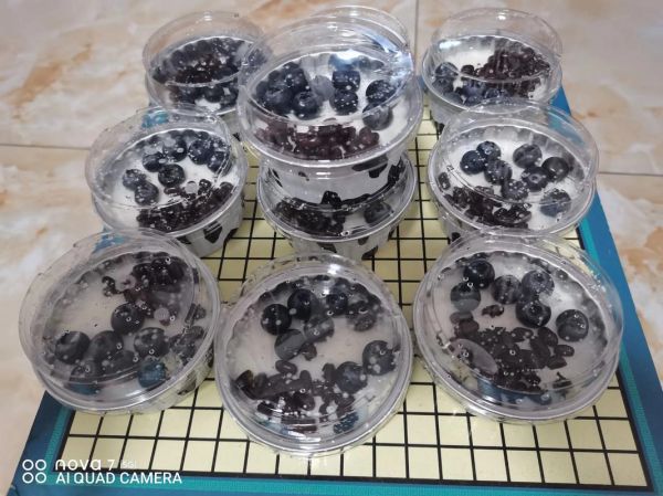 双皮奶不凝固的原因_双皮奶为什么不成形-第2张图片-山城妙识