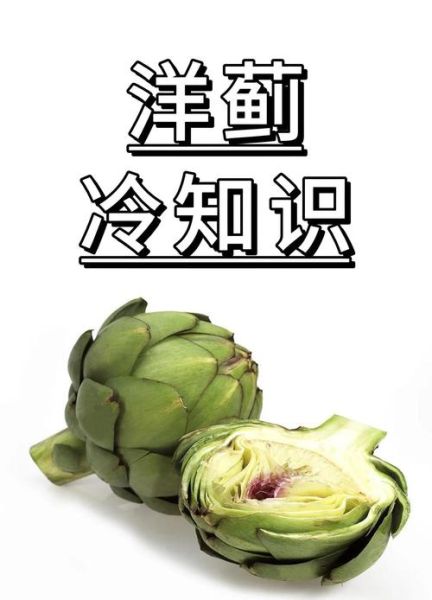 洋蓟的功效与禁忌_什么人不能吃洋蓟-第1张图片-山城妙识