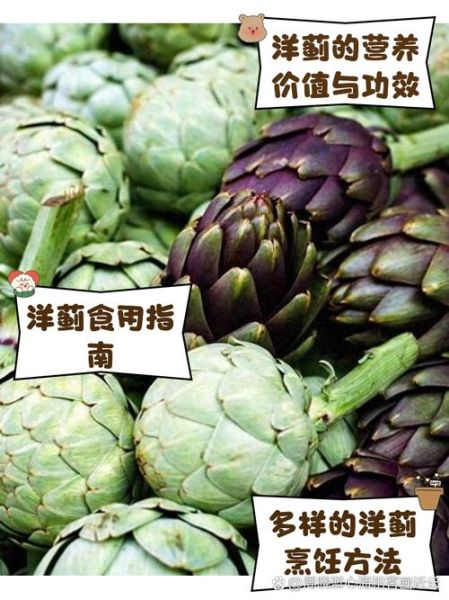 洋蓟的功效与禁忌_什么人不能吃洋蓟-第3张图片-山城妙识