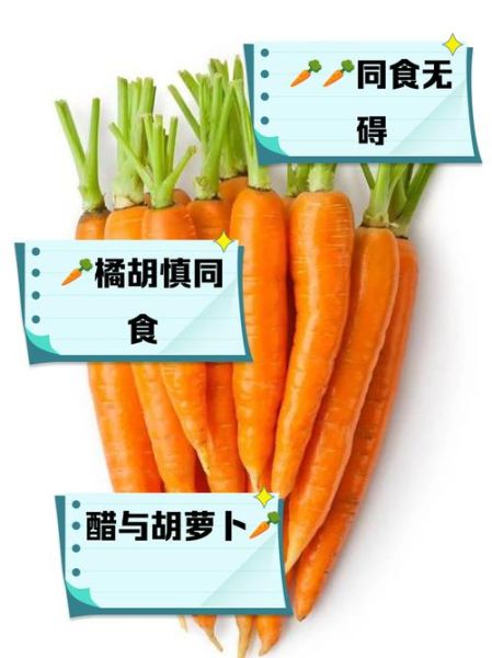 胡萝卜和什么相克_哪些食物不能一起吃-第1张图片-山城妙识