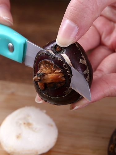 荸荠削皮器怎么用_荸荠削皮器哪种好用-第1张图片-山城妙识