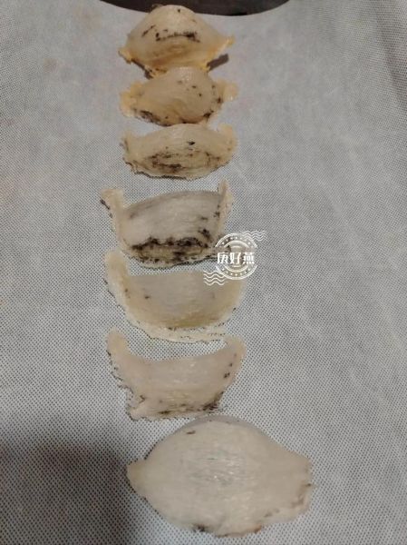 燕窝是燕子的窝吗_燕窝到底是什么做的-第3张图片-山城妙识 燕窝是燕子的窝吗_燕窝到底是什么做的-第3张图片-山城妙识