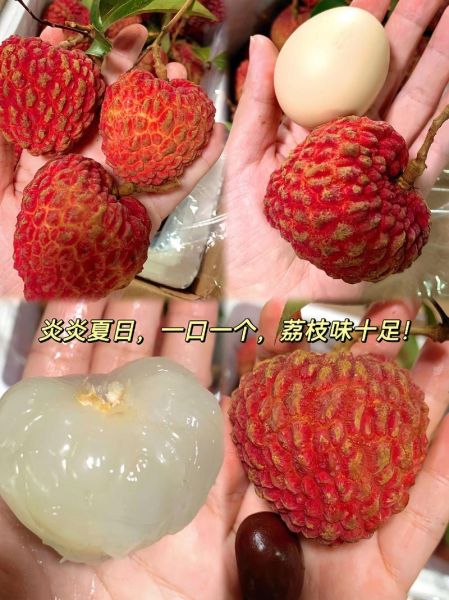 荔枝王图片_荔枝王和普通荔枝区别-第2张图片-山城妙识 荔枝王图片_荔枝王和普通荔枝区别-第2张图片-山城妙识