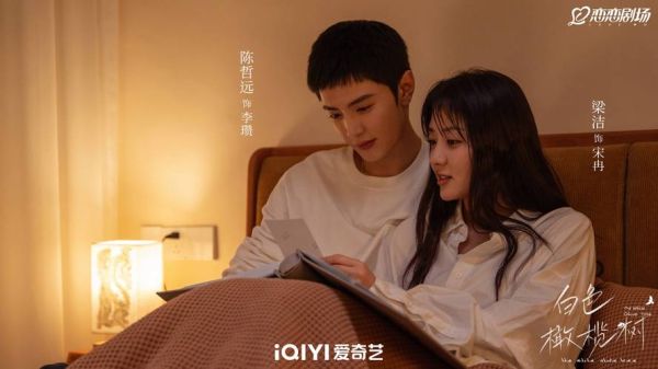 橄榄树电视剧40集免费观看_哪里能看完整版-第2张图片-山城妙识