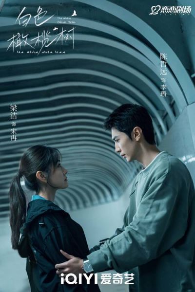 橄榄树电视剧40集免费观看_哪里能看完整版-第3张图片-山城妙识