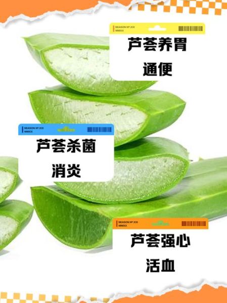 芦荟可以生吃吗_生吃芦荟的正确方法-第1张图片-山城妙识