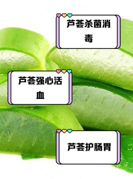 芦荟可以生吃吗_生吃芦荟的正确方法-第2张图片-山城妙识