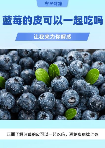 蓝莓皮可以吃吗_蓝莓皮的营养与清洗方法-第1张图片-山城妙识
