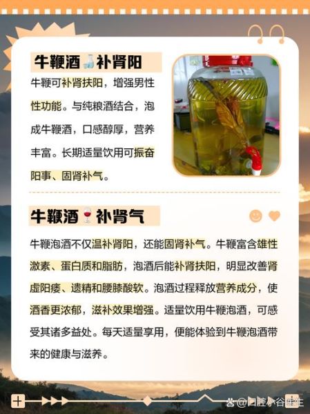 牛鞭怎么泡酒效果最好_牛鞭泡酒配方大全-第1张图片-山城妙识