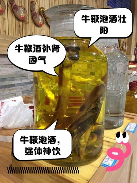 牛鞭怎么泡酒效果最好_牛鞭泡酒配方大全-第2张图片-山城妙识