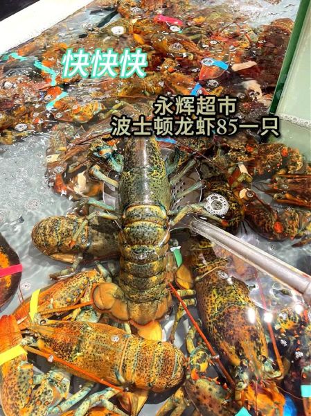 大龙虾多少钱一斤2019_2019年大龙虾价格走势-第1张图片-山城妙识