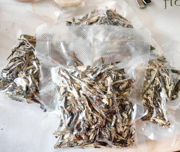 干巴菌是什么_干巴菌多少钱一斤-第1张图片-山城妙识