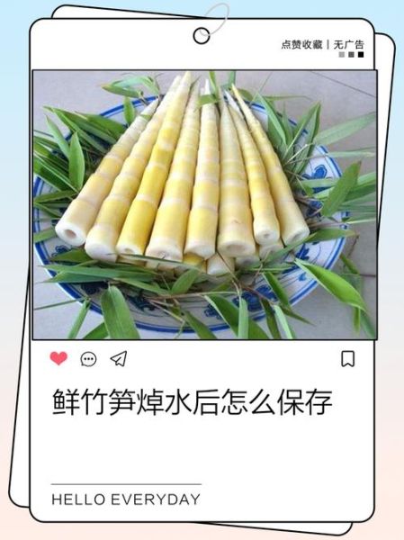 鲜竹笋怎么做好吃_鲜竹笋焯水几分钟-第1张图片-山城妙识