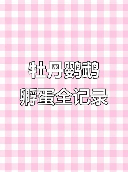 牡丹鹦鹉繁殖技巧_牡丹鹦鹉多久下一次蛋-第2张图片-山城妙识 牡丹鹦鹉繁殖技巧_牡丹鹦鹉多久下一次蛋-第2张图片-山城妙识