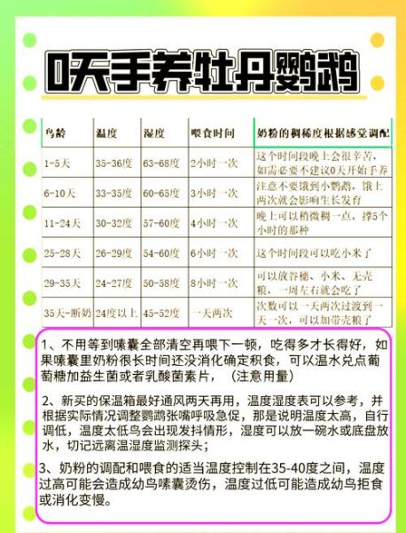 牡丹鹦鹉繁殖技巧_牡丹鹦鹉多久下一次蛋-第3张图片-山城妙识 牡丹鹦鹉繁殖技巧_牡丹鹦鹉多久下一次蛋-第3张图片-山城妙识