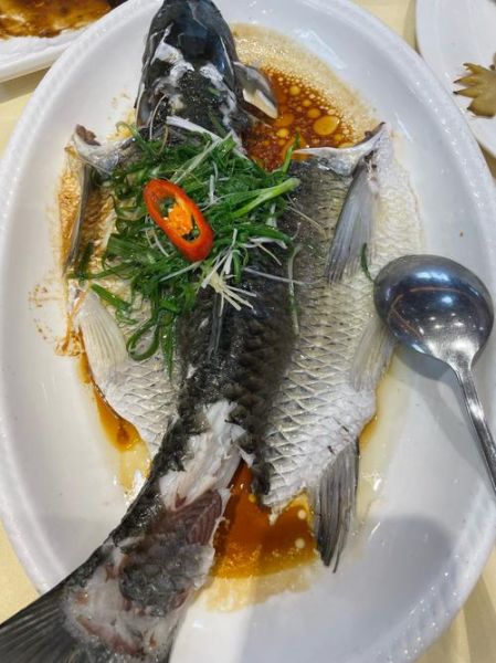 清蒸鮰鱼的做法_清蒸鮰鱼蒸几分钟最好-第1张图片-山城妙识