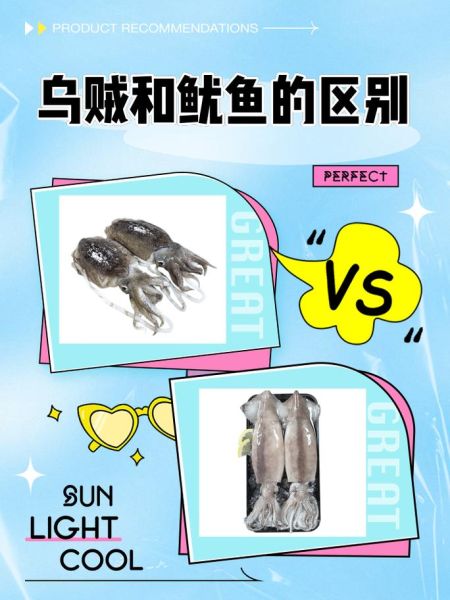 乌贼和鱿鱼的区别_乌贼和鱿鱼哪个更好吃-第1张图片-山城妙识 乌贼和鱿鱼的区别_乌贼和鱿鱼哪个更好吃-第1张图片-山城妙识