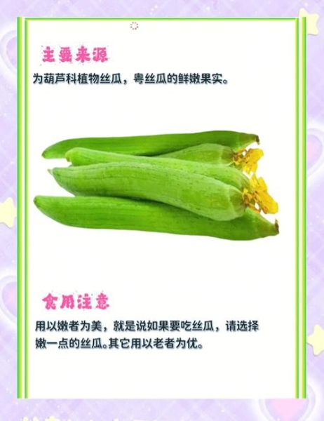 丝瓜的功效与作用_丝瓜的营养价值有哪些-第2张图片-山城妙识
