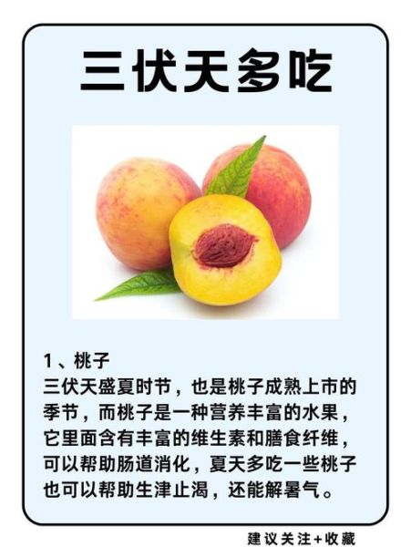 三伏天吃什么水果去湿气_哪些水果祛湿效果最好-第2张图片-山城妙识