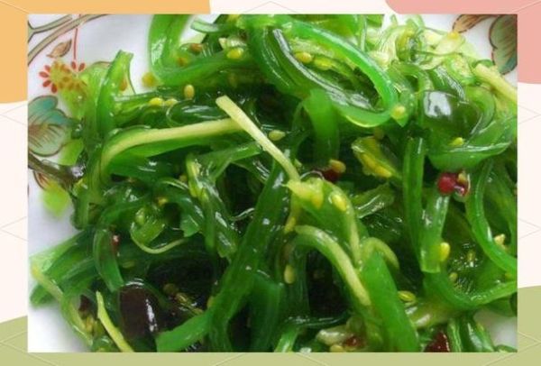 海白菜长什么样_海白菜和海带区别-第2张图片-山城妙识