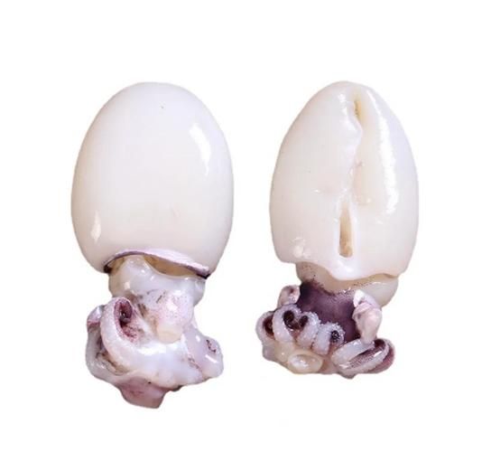 冰鲜大墨鱼怎么做好吃_冰鲜大墨鱼的家常做法-第1张图片-山城妙识