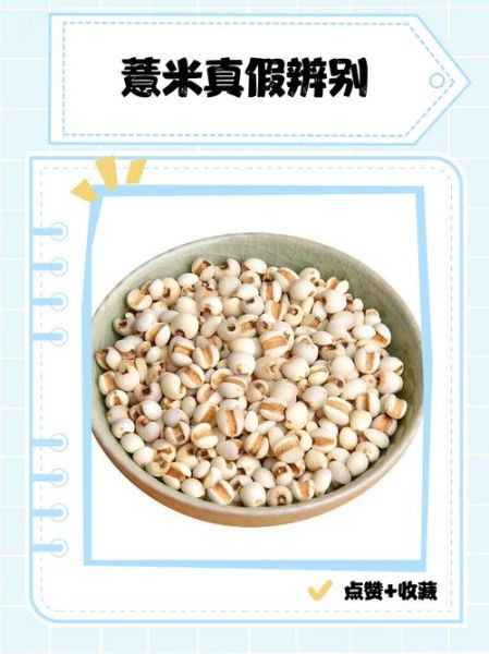 薏米和薏仁的区别_薏米和薏仁一样吗-第3张图片-山城妙识