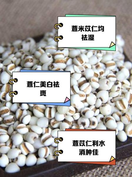 薏米和薏仁的区别_薏米和薏仁一样吗-第1张图片-山城妙识