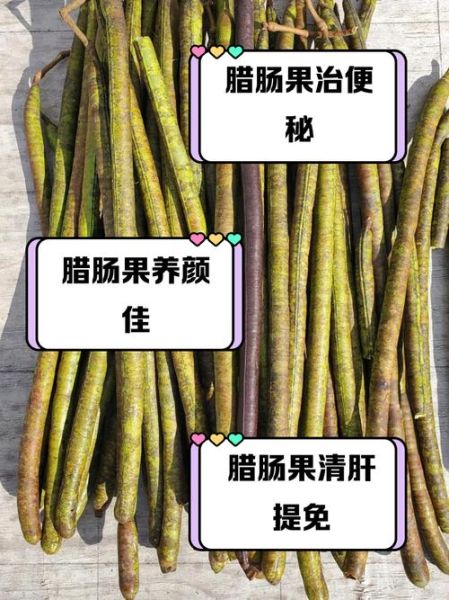 腊肠树果提取物功效_腊肠树果提取物怎么用-第1张图片-山城妙识