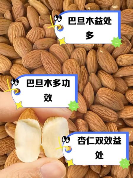 巴旦木是桃仁还是杏仁_区别与真相-第1张图片-山城妙识