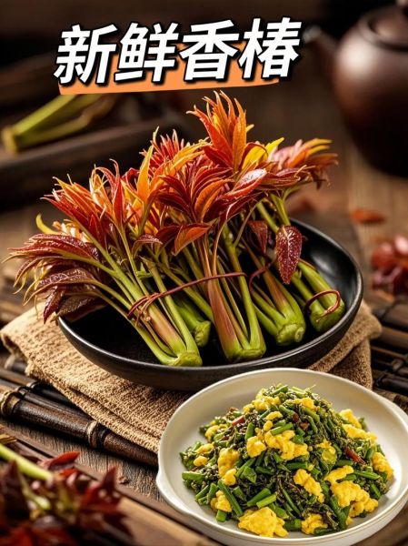 香椿是什么东西_香椿怎么吃才安全-第2张图片-山城妙识 香椿是什么东西_香椿怎么吃才安全-第2张图片-山城妙识