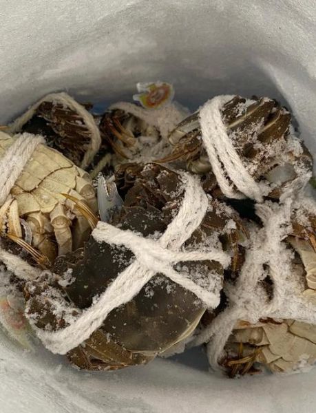 大闸蟹怎么保存10天_大闸蟹能放冰箱多久-第2张图片-山城妙识
