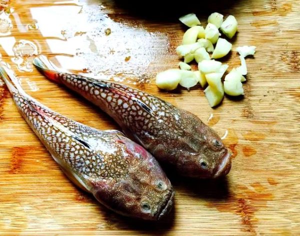 经常吃的海鱼有哪些_哪些海鱼适合家常烹饪-第1张图片-山城妙识