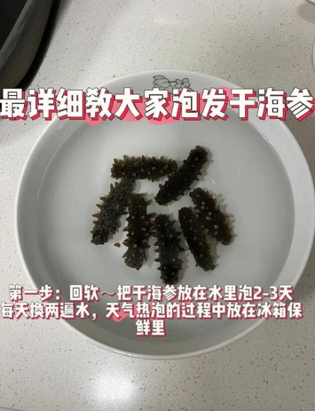 半干海参怎么泡发_半干海参泡发多久最好-第2张图片-山城妙识 半干海参怎么泡发_半干海参泡发多久最好-第2张图片-山城妙识