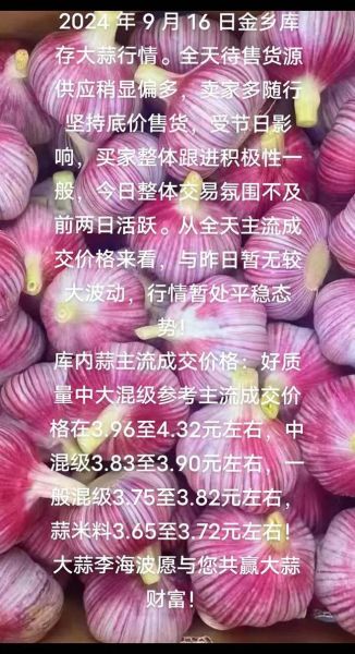 金乡大蒜最新价格是多少_2024年行情还会涨吗-第1张图片-山城妙识