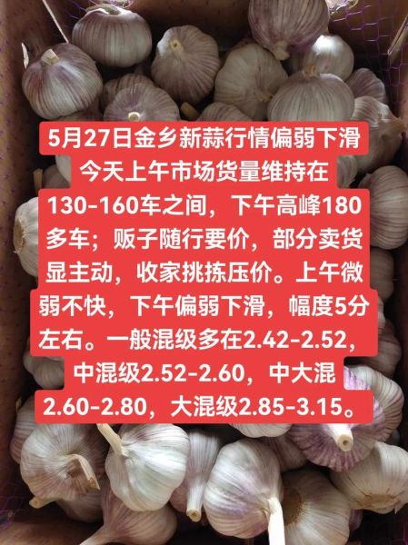 金乡大蒜最新价格是多少_2024年行情还会涨吗-第3张图片-山城妙识