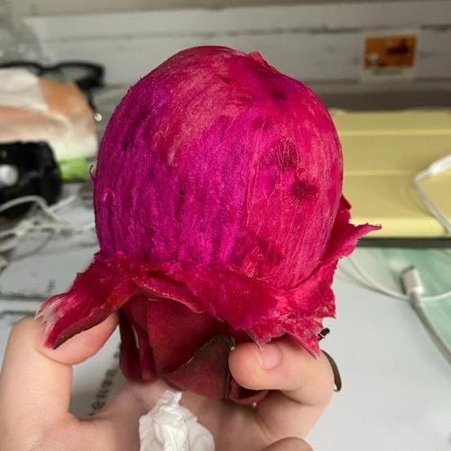 吃红心火龙果拉稀像血怎么办_正常吗-第3张图片-山城妙识