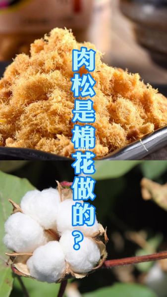 肉松是棉花做的吗_肉松用棉花做的真相-第1张图片-山城妙识