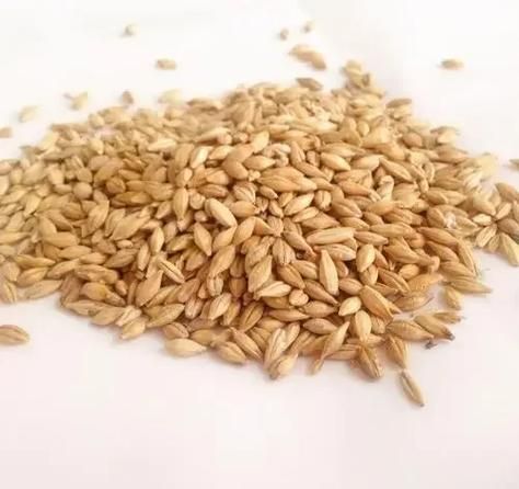 大麦苗粉可以长期喝吗_长期喝大麦苗粉副作用-第2张图片-山城妙识