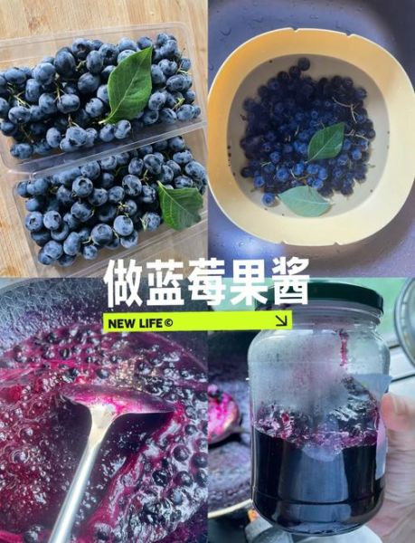 蓝莓酱怎么冲水喝_蓝莓酱冲水比例是多少-第1张图片-山城妙识