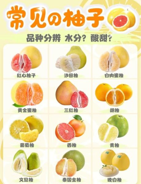 柚子不能和什么一起吃_柚子与哪些食物相克-第3张图片-山城妙识