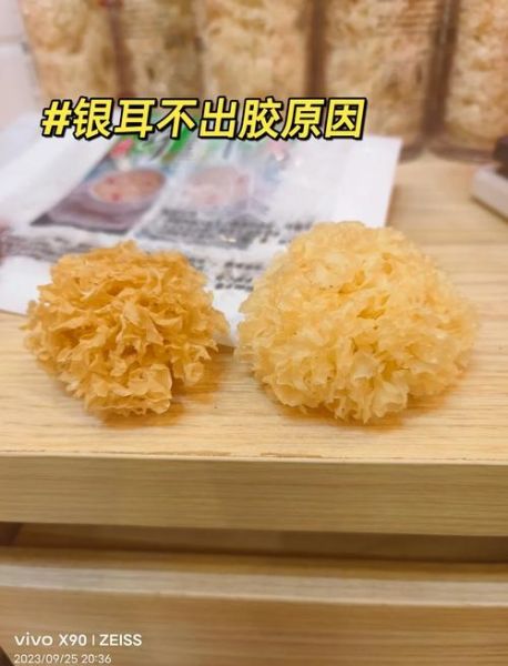 银耳出胶最好的方法_为什么不出胶-第3张图片-山城妙识