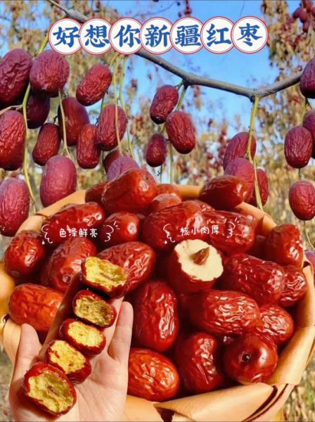 红枣图片大全大图唯美_红枣高清壁纸怎么选-第1张图片-山城妙识 红枣图片大全大图唯美_红枣高清壁纸怎么选-第1张图片-山城妙识