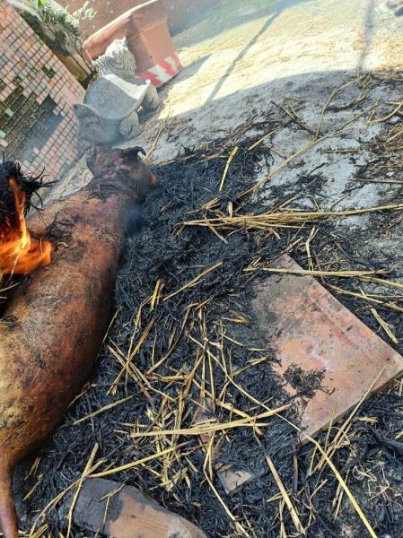 狗肉多少钱一斤_狗肉价格行情-第1张图片-山城妙识