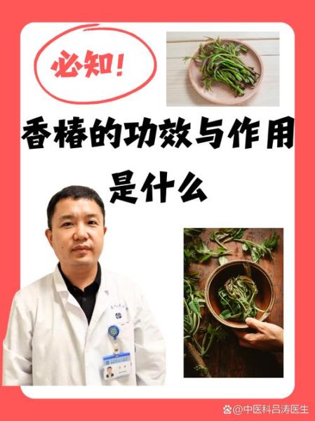 香椿的功效与作用_香椿的饮食禁忌有哪些-第3张图片-山城妙识