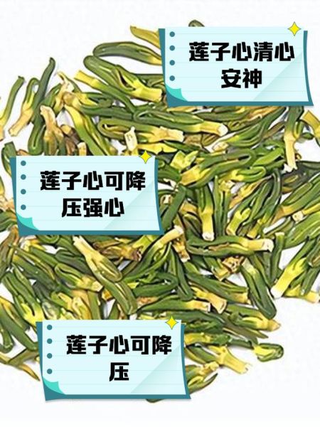 无心莲子功效与作用_无心莲子怎么吃最好-第3张图片-山城妙识